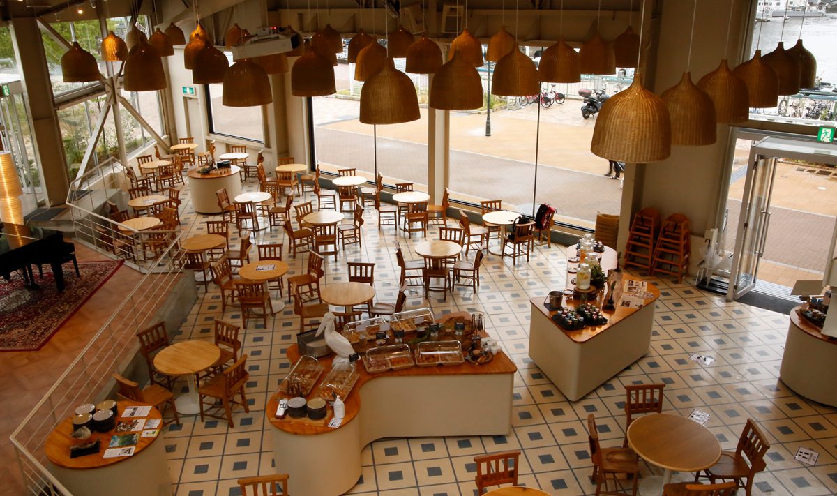 TOOTH TOOTH FISH IN THE FOREST - TOOTH TOOTH / トゥース・トゥース