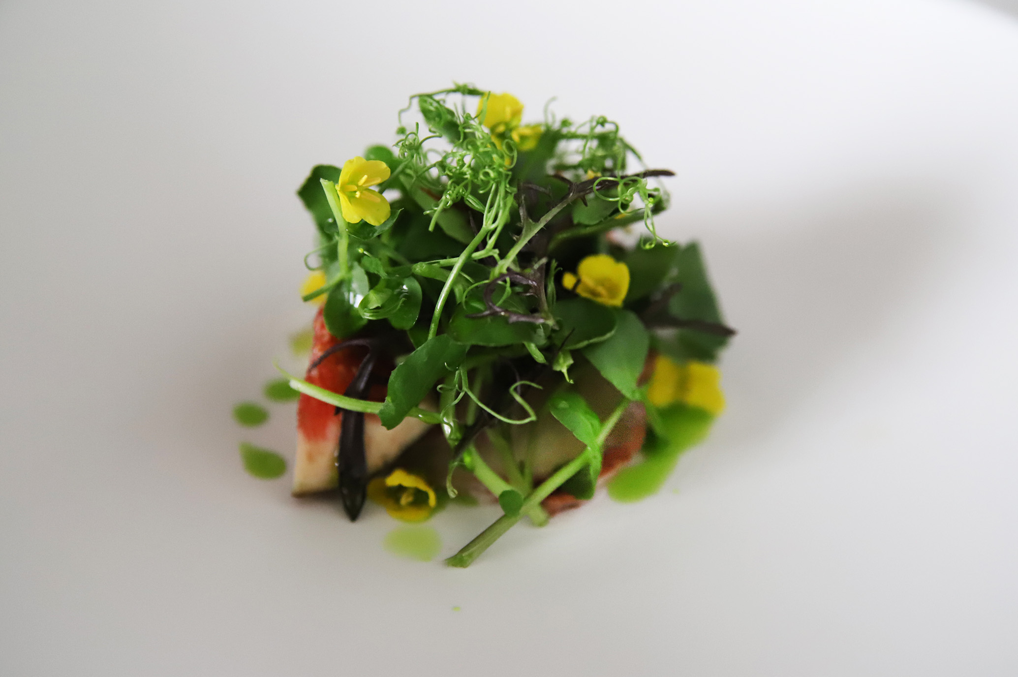 上質なひとときをお愉しみいただけるグランメゾンへ。 / TOOTH TOOTH maison 15th - TOOTH TOOTH ...