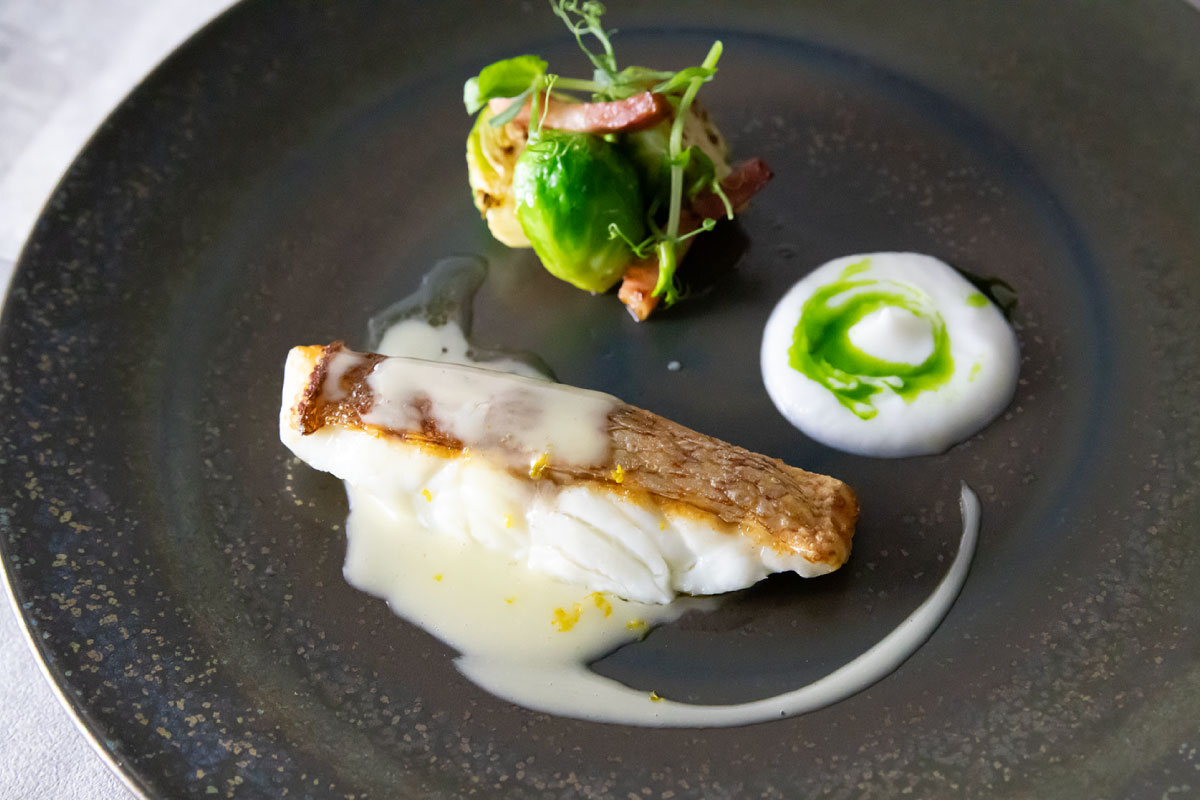 『神戸ルミナリエ』特別コースご予約受付中 / TOOTH TOOTH maison 15th - TOOTH TOOTH / トゥース・トゥース