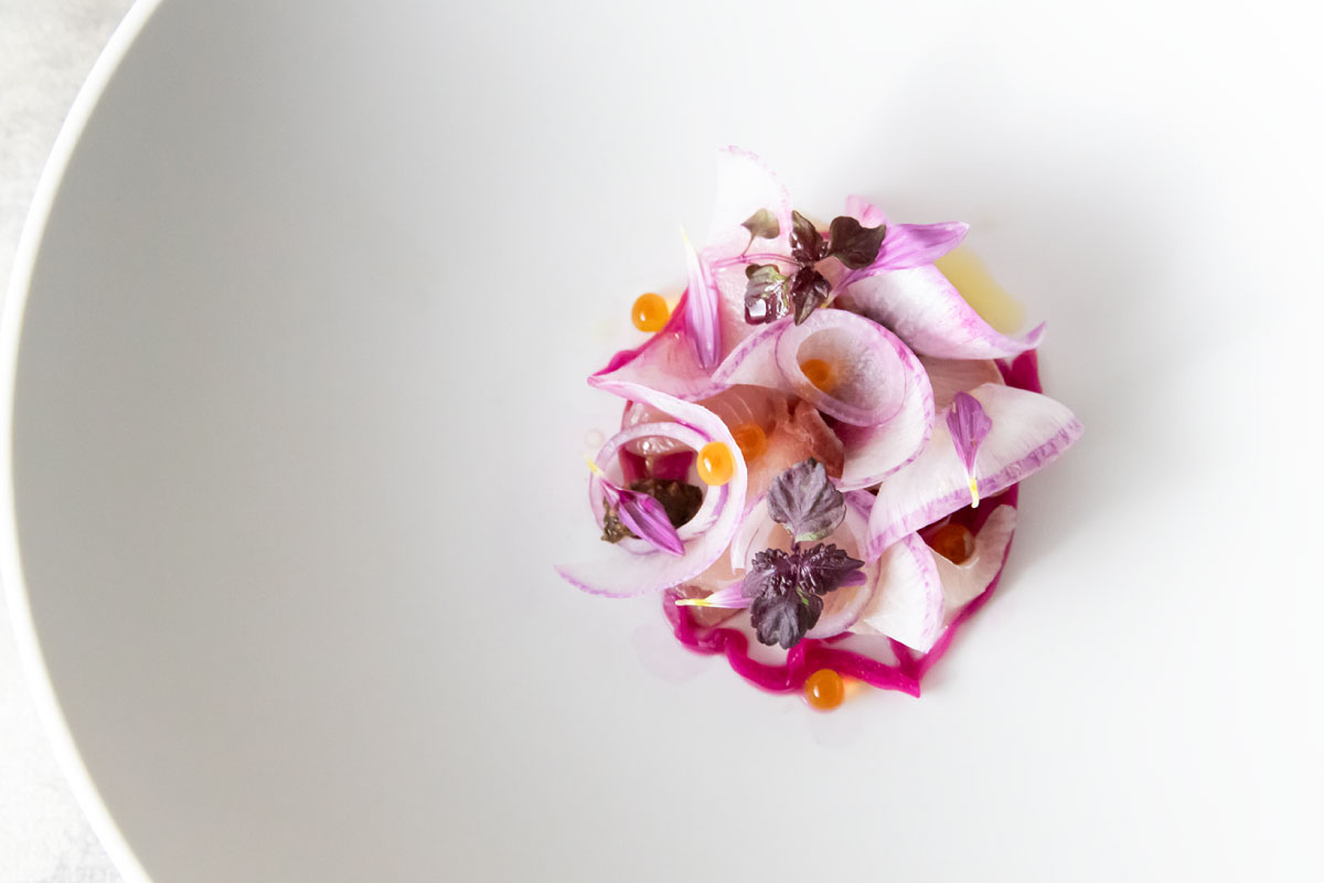 『神戸ルミナリエ』特別コースご予約受付中 / TOOTH TOOTH maison 15th - TOOTH TOOTH / トゥース・トゥース